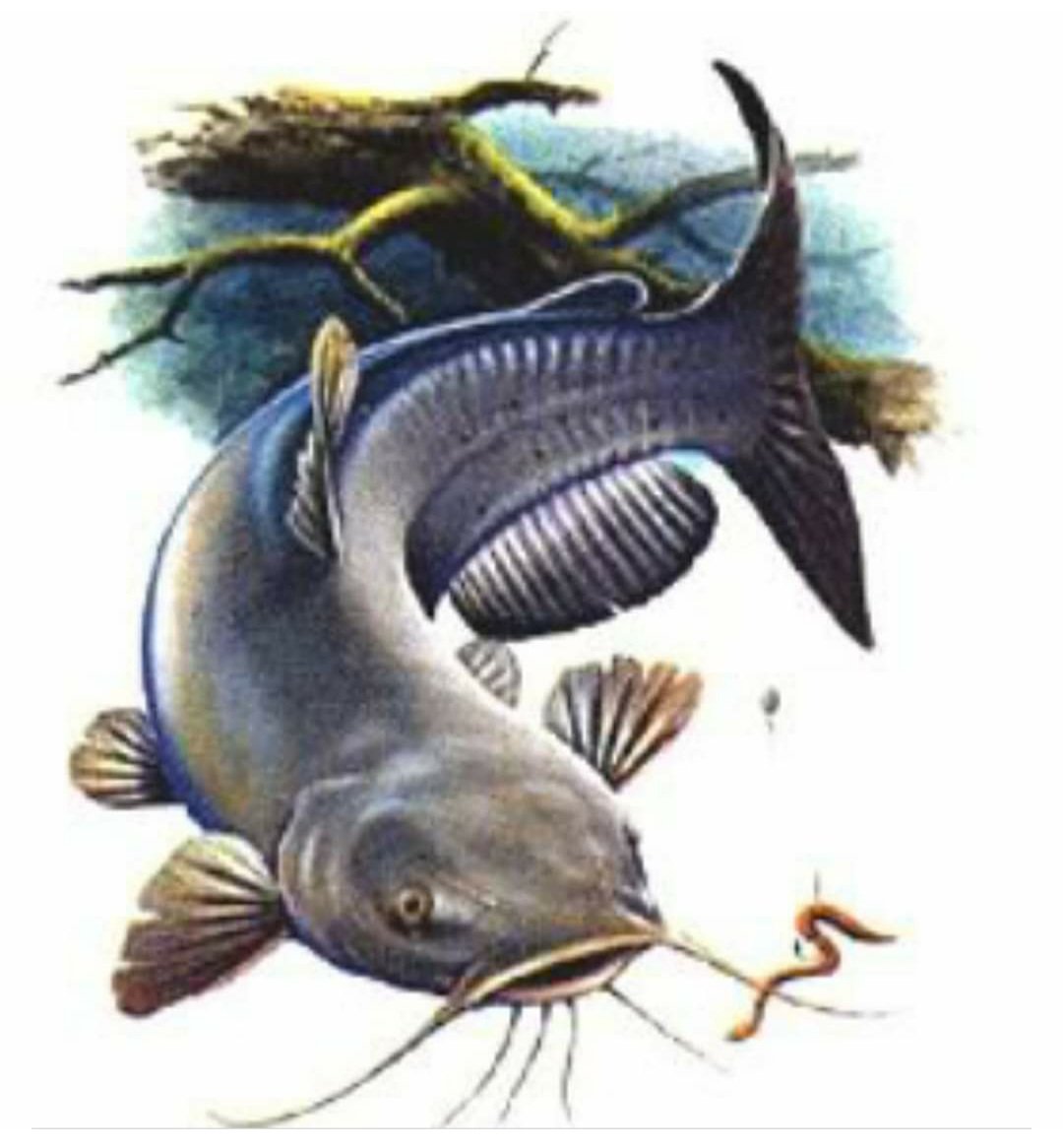 Home - City of Nitro